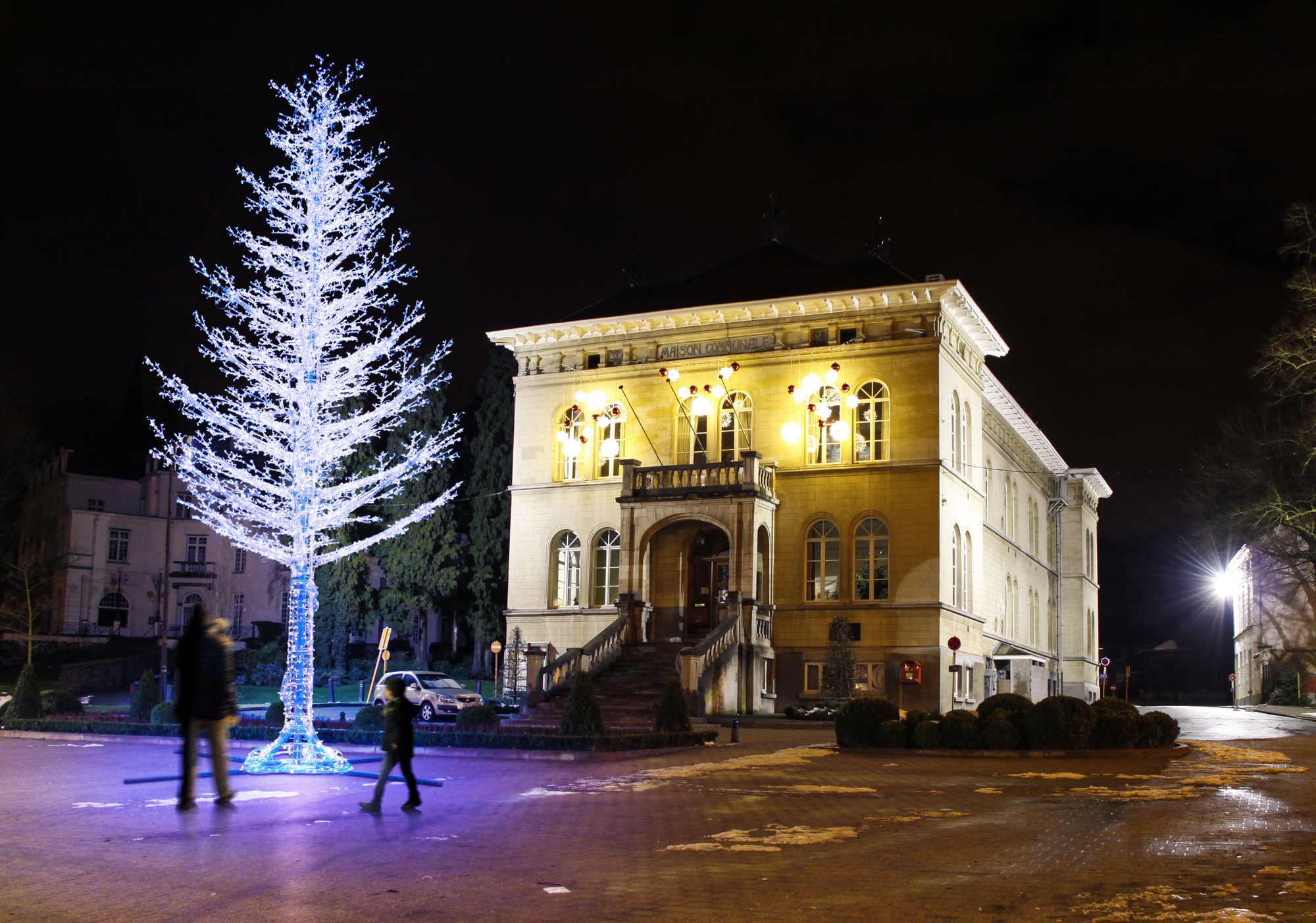Milwaukee Tree | Commercial Christmas Tree Display