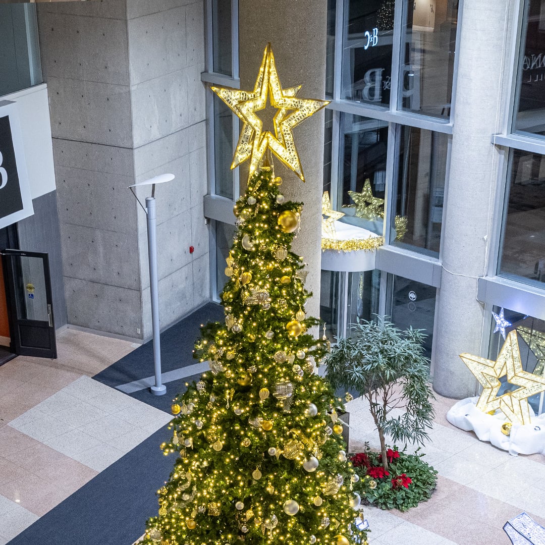 Waterloo Star Tree-Topper