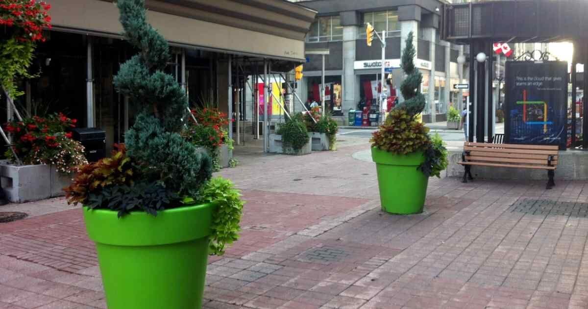 The Positive Economic Impact of Sidewalk Planters